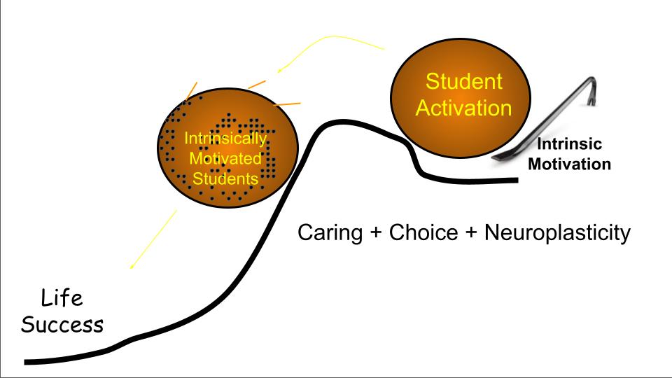 Striving for Intrinsic Motivation in Schools - Laura Maniglia